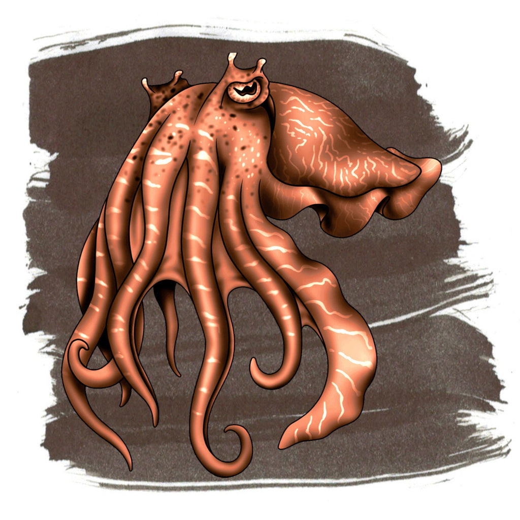 Anderillium Cephalopod Ink - Cuttlefish Brown - 1.5 oz