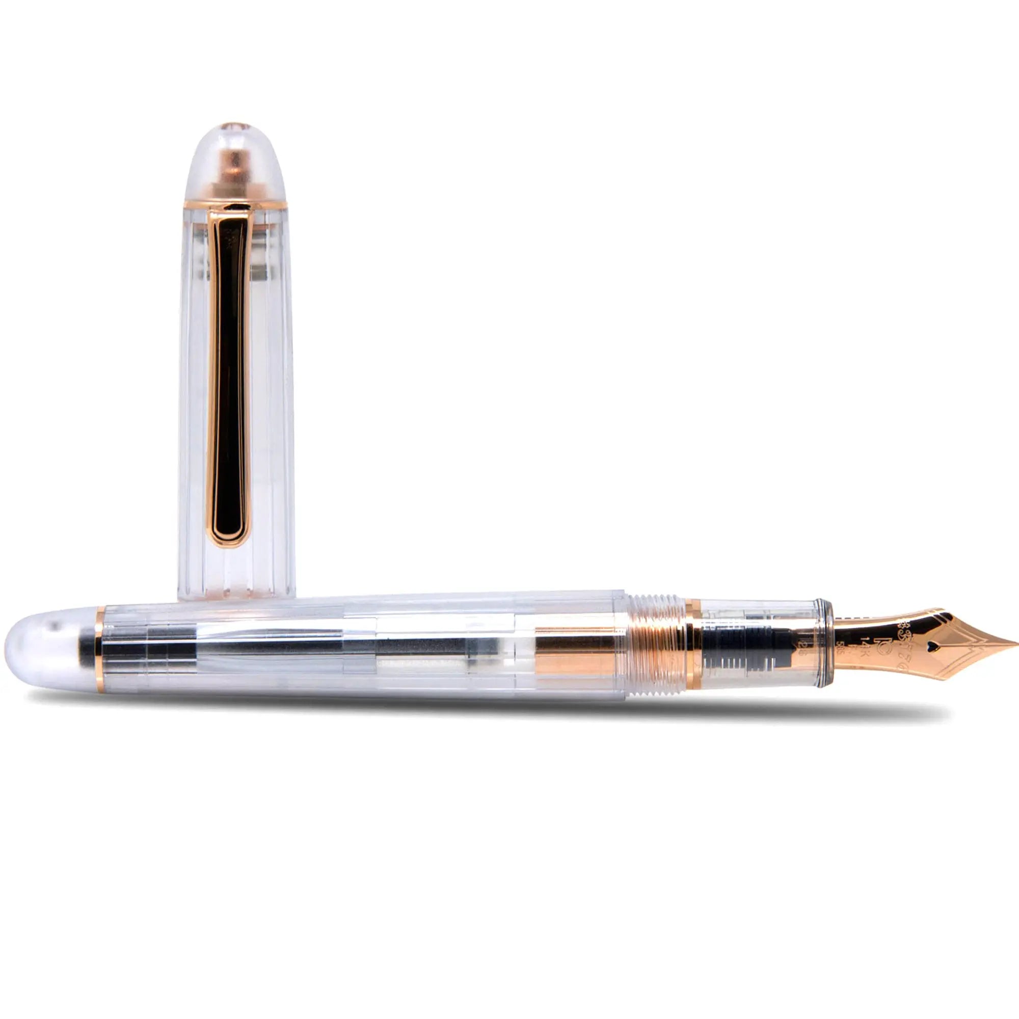 Platinum 3776 Century NICE Fountain Pen - Medium - Pen Boutique Ltd