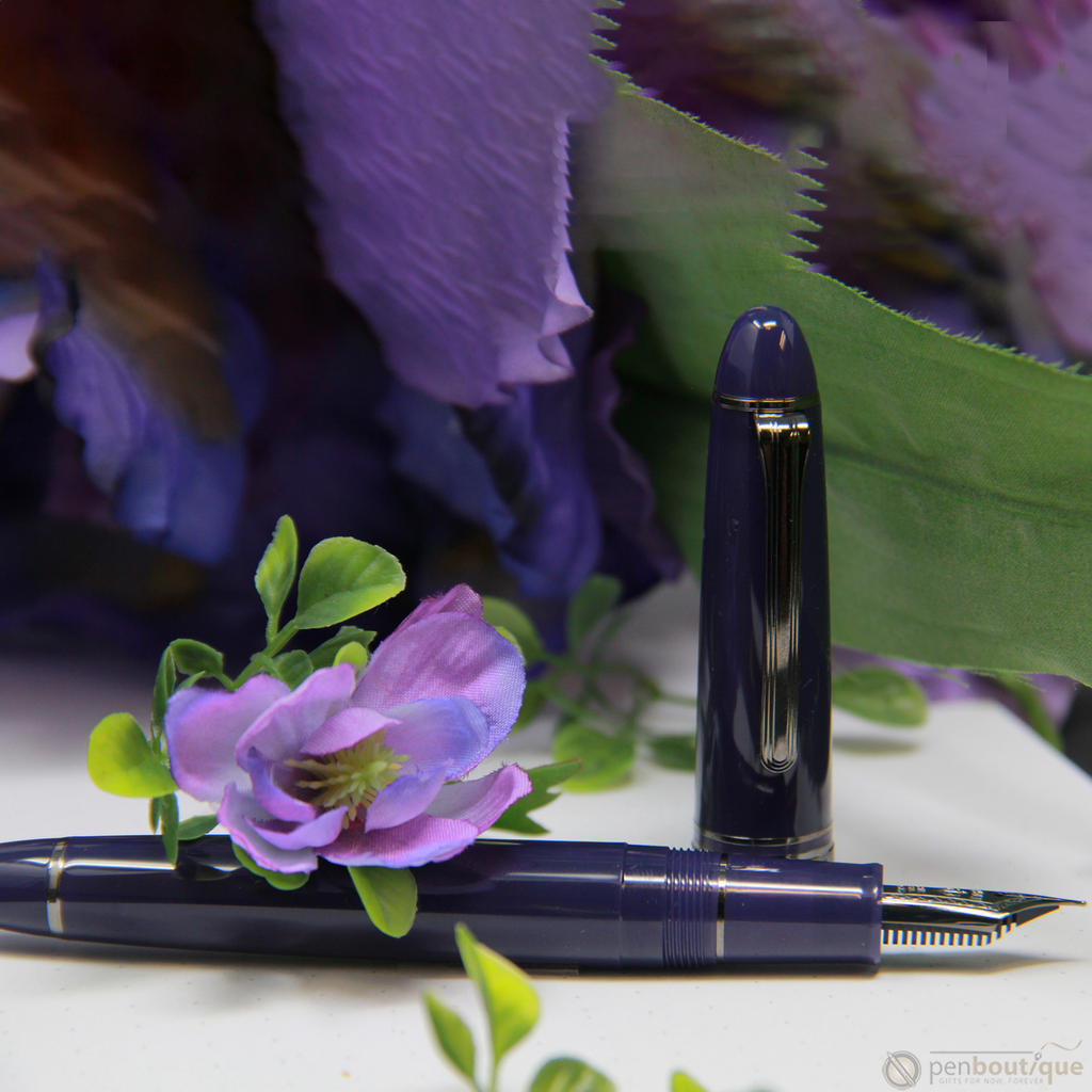 Sailor 1911S Standard Fountain Pen - Wicked Witch of the West (North A ...