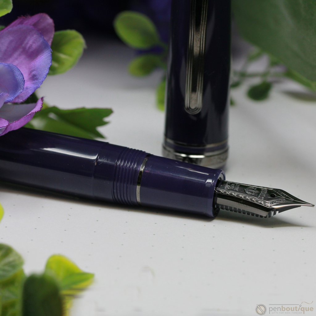 Sailor 1911S Standard Fountain Pen - Wicked Witch of the West (North A ...