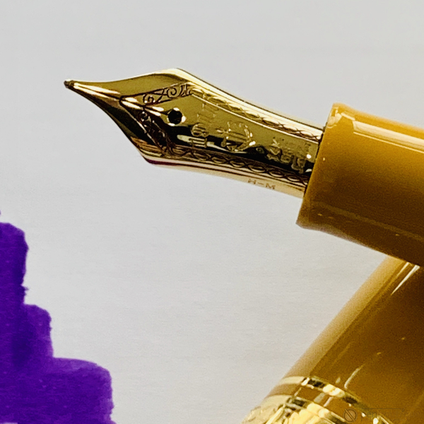 Sailor 1911S Fountain Pen - Pirate's Life (North America Exclusive ...