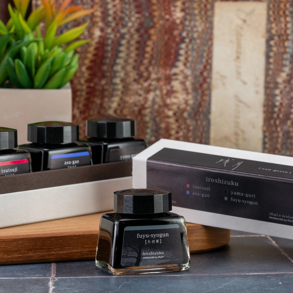 Pilot Iroshizuku Ink Set - Zan-getsu